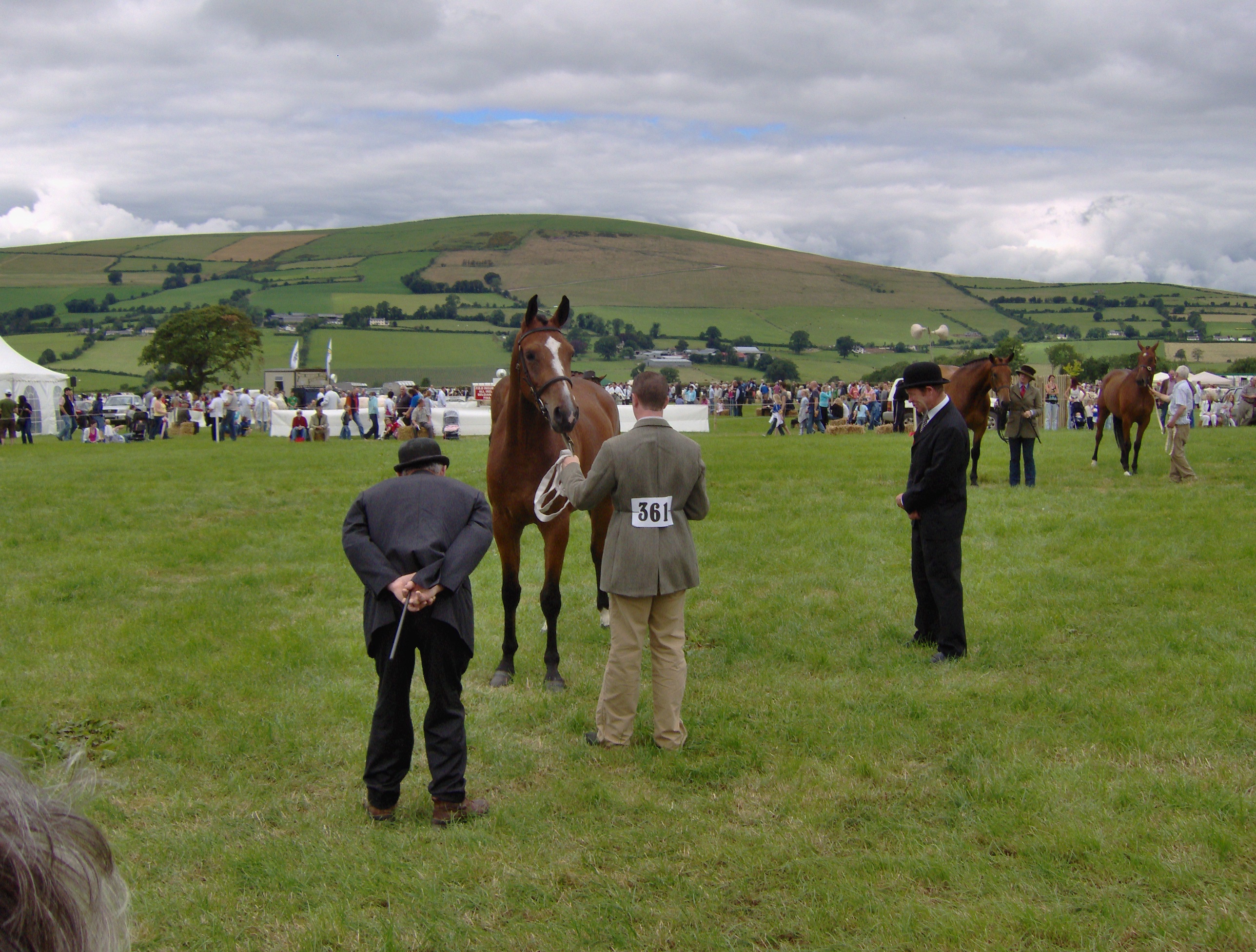 Tinahely Horse Riding - Tinahely.ie